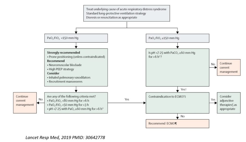 Réanimation / Techniques / ECMO - Algorithme Décisionnel - COVID-19 ...